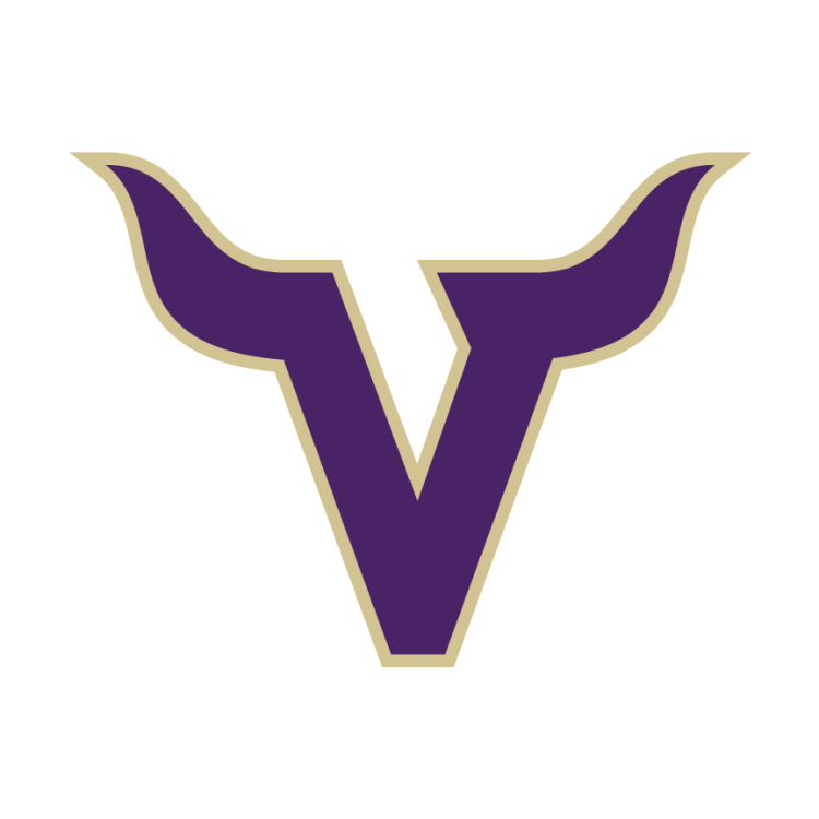 Valencia Vikings Baseball Team – Pride in Every Pitch. Purpose in Every ...